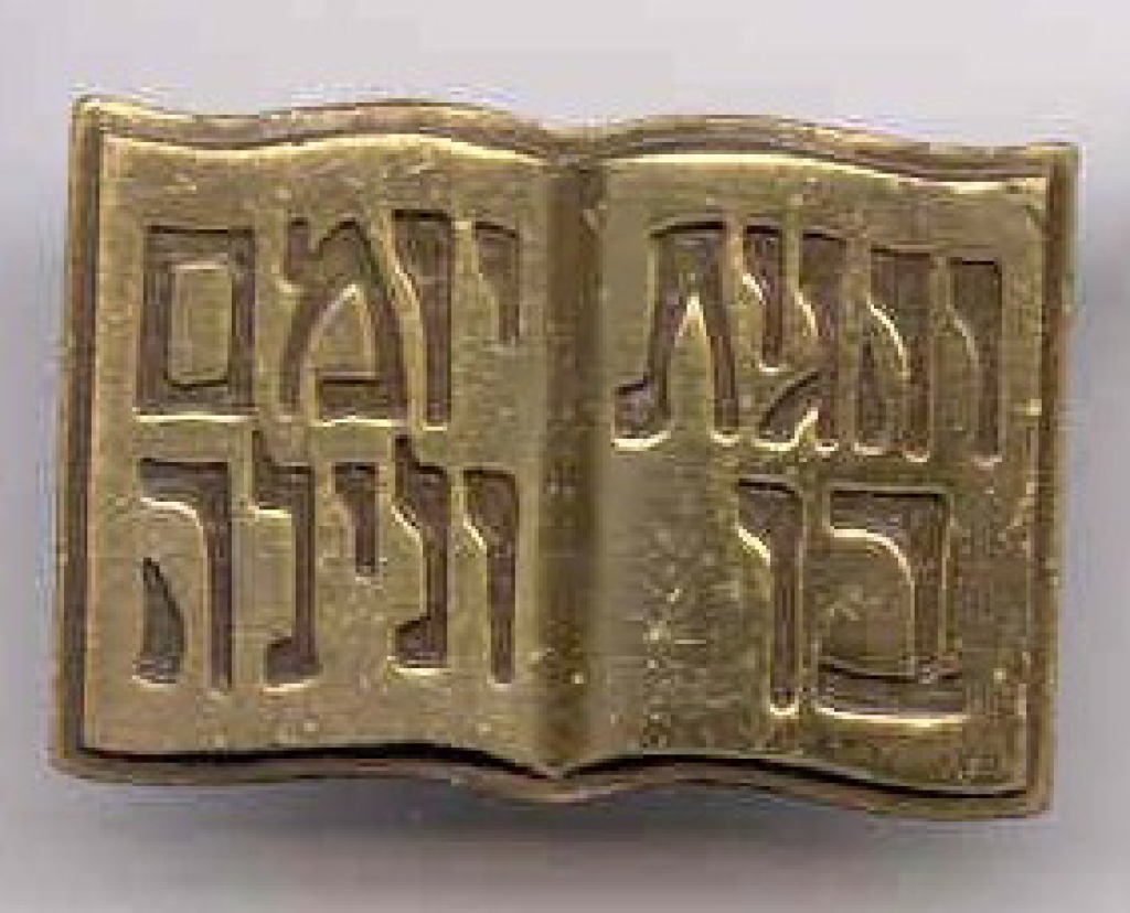Torah Fund Campaign of WLCJ Pins through the years | Women's League for ...