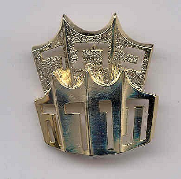 Torah Fund Campaign of WLCJ Pins through the years | Women's League for ...