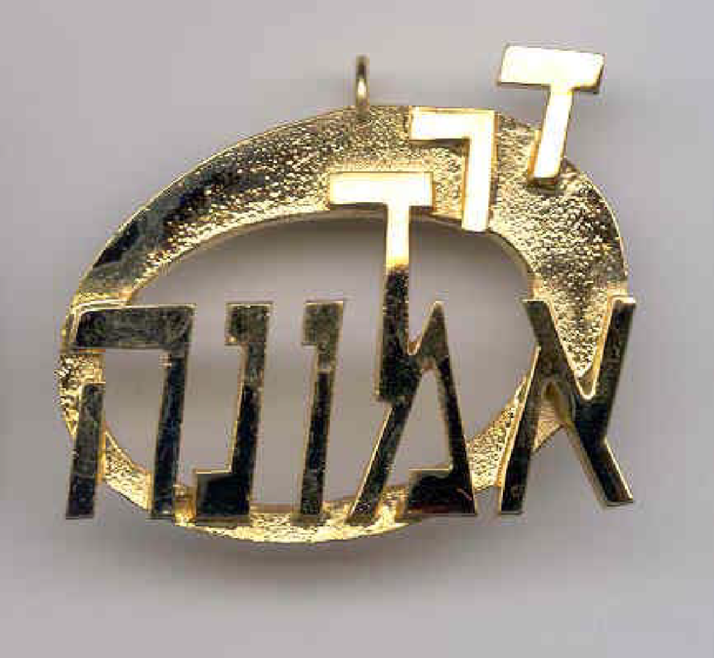 Torah Fund Campaign of WLCJ Pins through the years | Women's League for ...