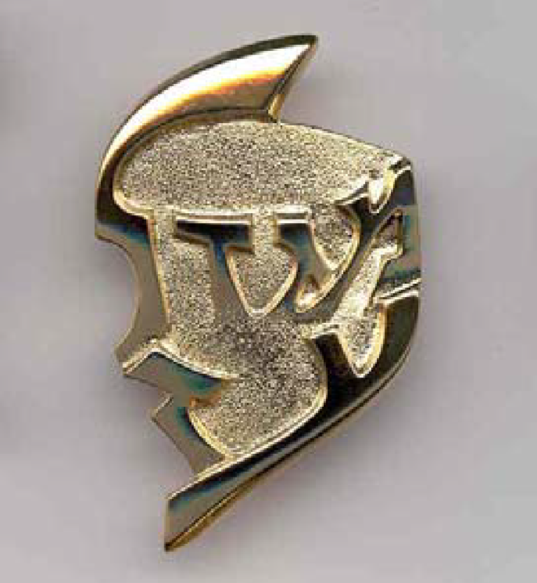 Torah Fund Campaign of WLCJ Pins through the years | Women's League for ...