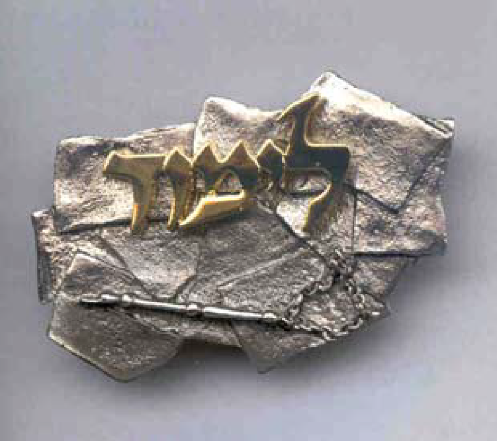 Torah Fund Campaign of WLCJ Pins through the years | Women's League for ...