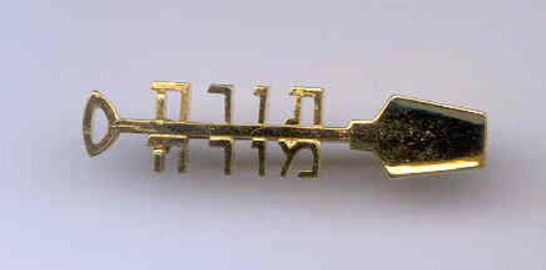 Torah Fund Campaign of WLCJ Pins through the years | Women's League for ...